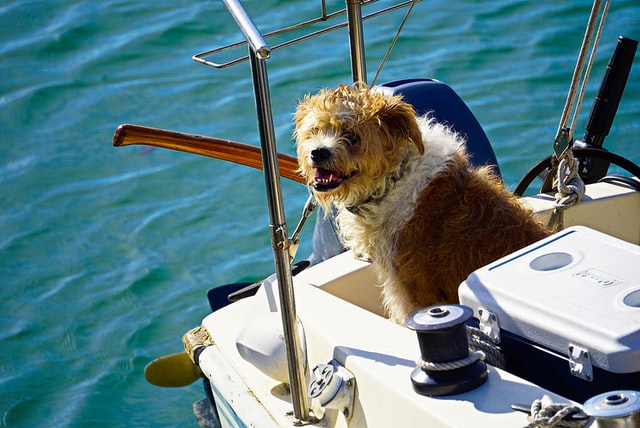 6 Cool Boat Accessories That You Actually Need | Boat Windows